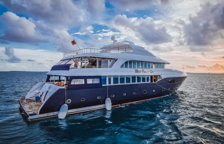 Maldives Central Atoll Blue Force One Liveaboard 12/7-12/14/24 - Giant ...